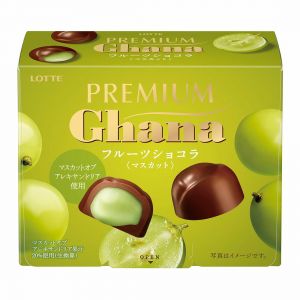 LOTTE PREMIUM GHANA MUSCAT CHOCOLATE - TESOLIFE特搜商城